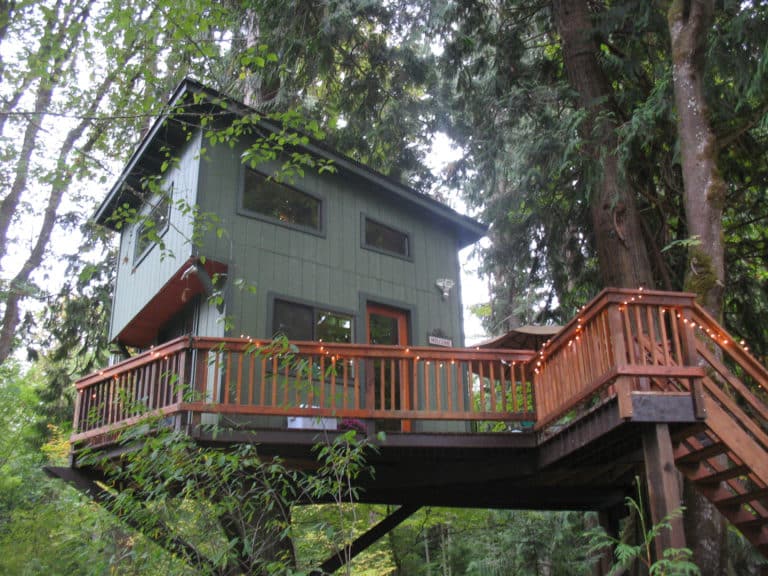 Treehouse Living in Olympia