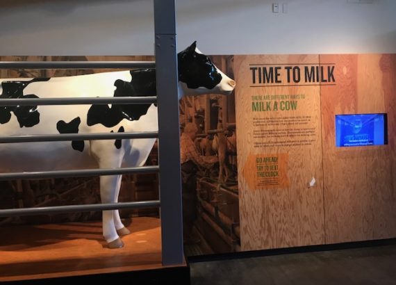 Your Complete Guide to Tillamook, Oregon • Explorer Sue Travel