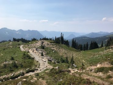 A Pretty Good Guide to Mount Rainier National Park • Explorer Sue