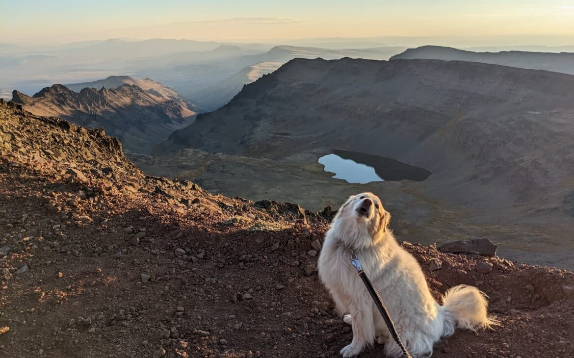 7 Best Hikes in Oregon • Explorer Sue Travel